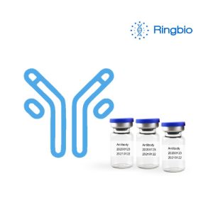 vomitoxin monoclonal antibody, anti DON deoxynivalenol antibody - Ringbio